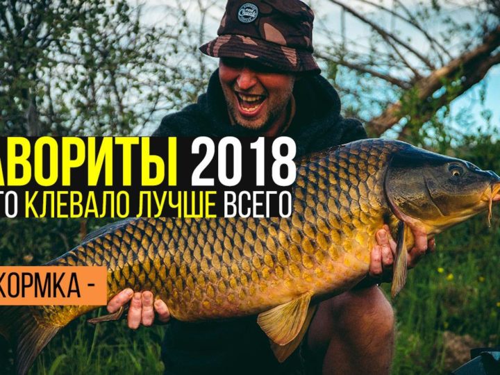 Крючки FOX Arma Point и их применение